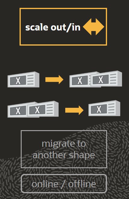 Scalability and Elasticity in Oracle Cloud Infrastructure – Database Heartbeat