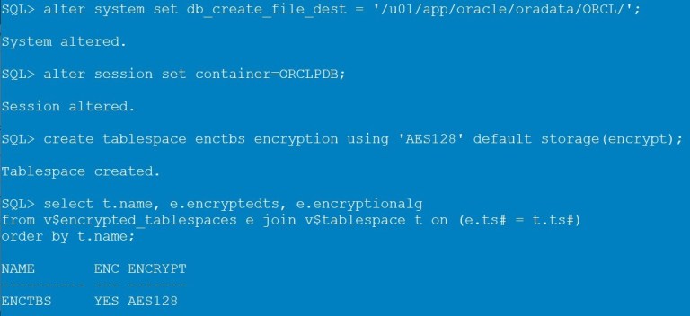 Enable TDE, auto-login wallet, and Secure External Password Store (SEPS ...