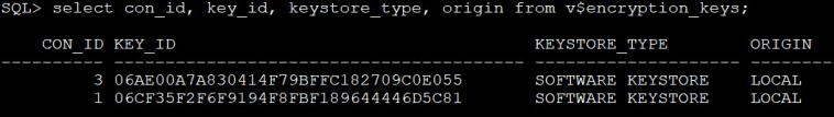 How to use Customer-Managed TDE Encryption Keys in Oracle Exadata Cloud ...