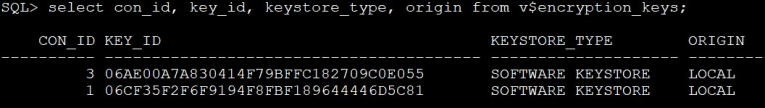 How to use Customer-Managed TDE Encryption Keys in Oracle Exadata Cloud ...