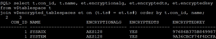 How to use Customer-Managed TDE Encryption Keys in Oracle Exadata Cloud Service – Database Heartbeat