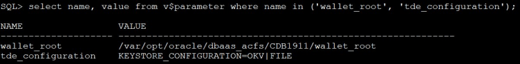 How to use Customer-Managed TDE Encryption Keys in Oracle Exadata Cloud ...