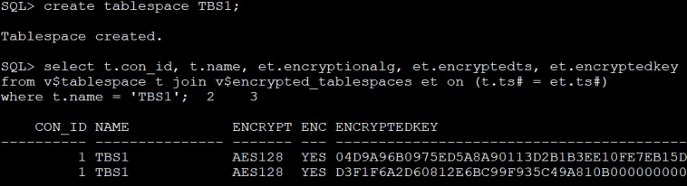 How to use Customer-Managed TDE Encryption Keys in Oracle Exadata Cloud ...