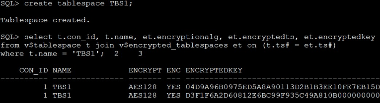 How to use Customer-Managed TDE Encryption Keys in Oracle Exadata Cloud ...