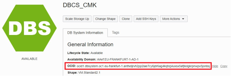 How to use Customer-Managed TDE Encryption Keys on VM DB Systems in ...