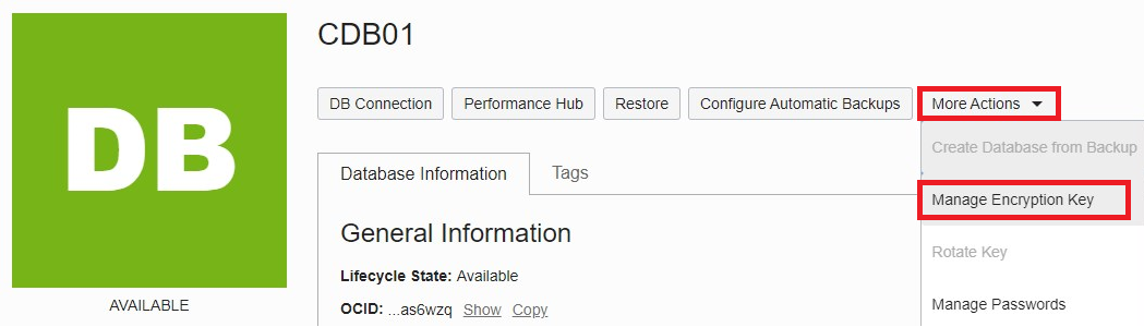 How to use Customer-Managed TDE Encryption Keys on VM DB Systems in ...